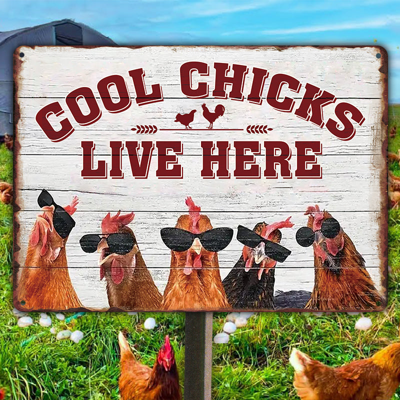 Chicken Coop Sign | Cool Chicks Live Here Chicken Coop Sign Metal Cool ...